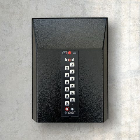 Face Fix Pro XL Key Safe | Loxal Security